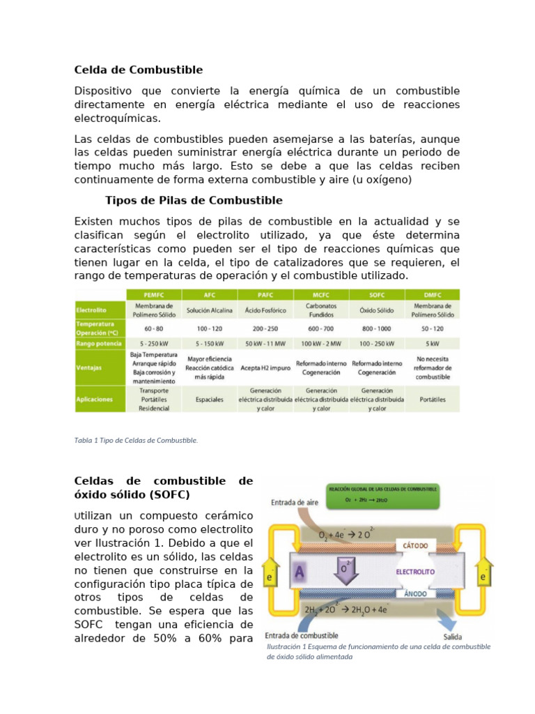 Celdas de Combustible: Eficiencia y Tipos | PDF | Pila de combustible ...