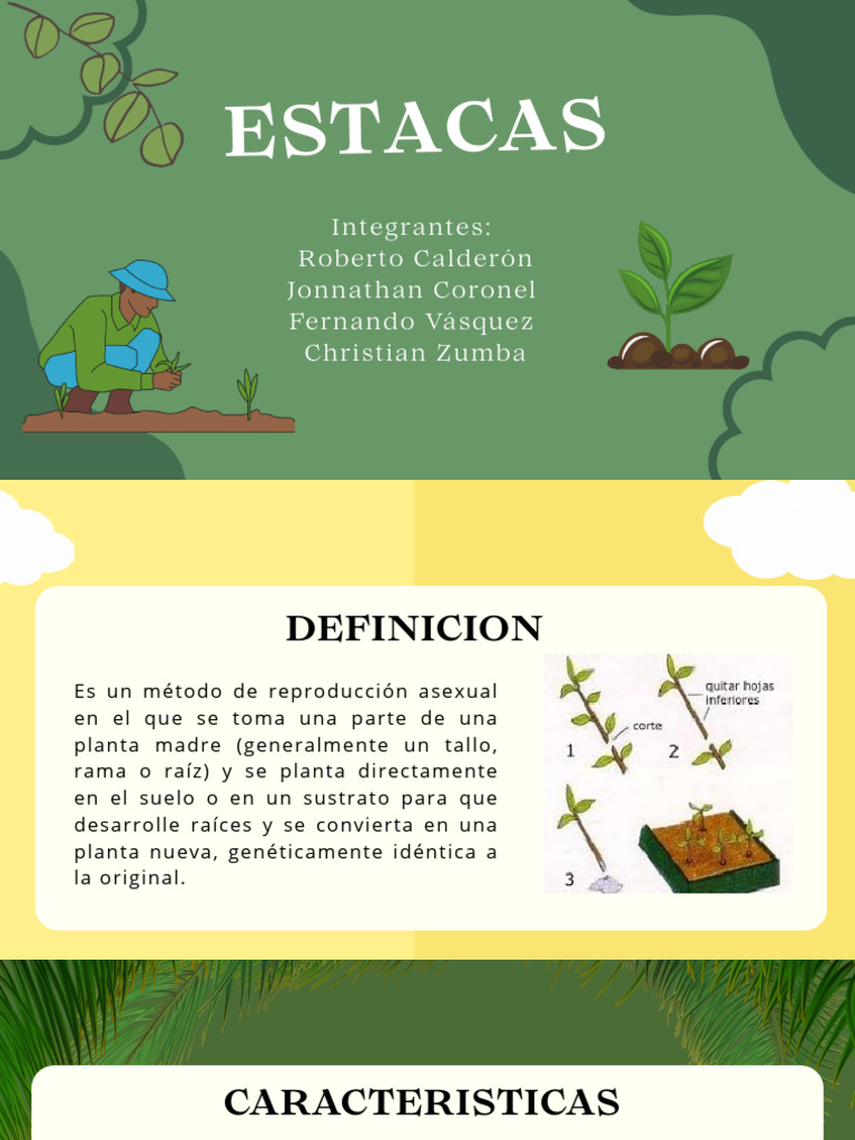 Grupo 2_Estacas | PDF