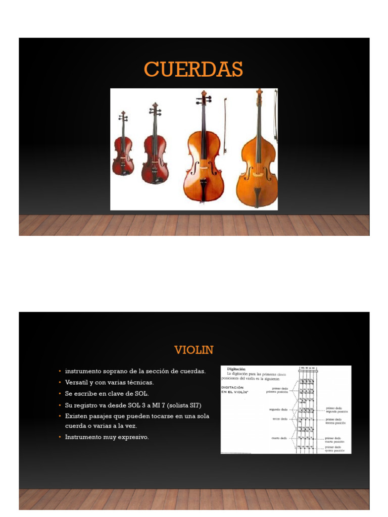 Familia de cuerdas | PDF