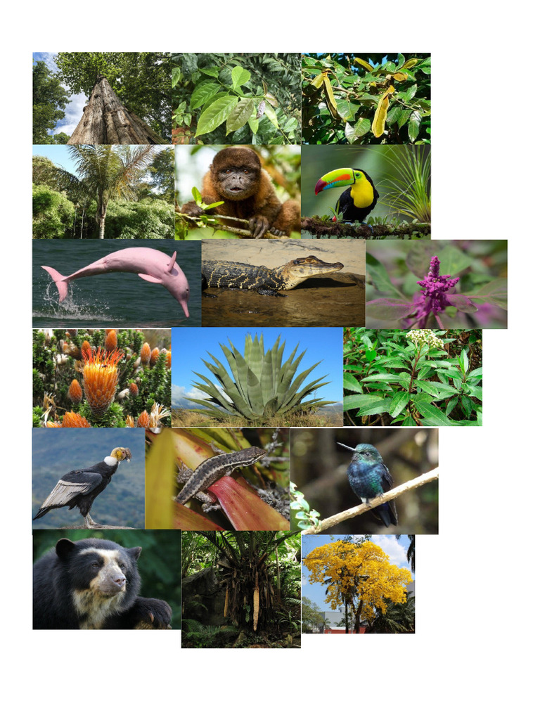 Biología Animals | PDF
