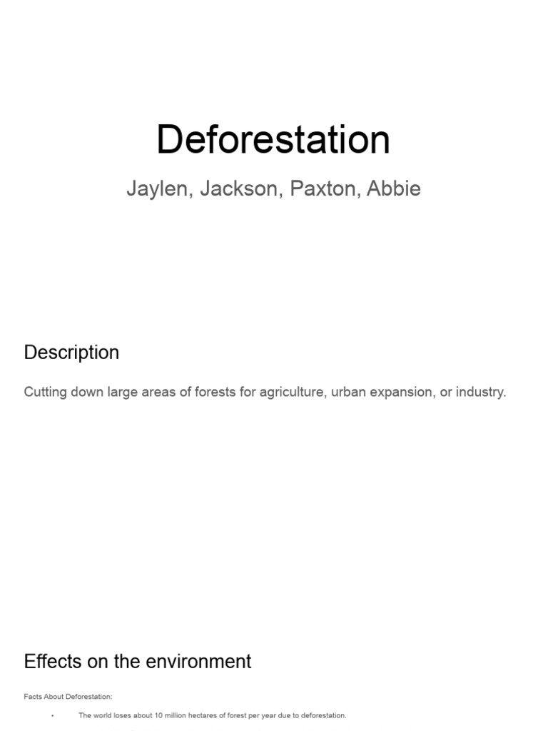 Deforestation | PDF