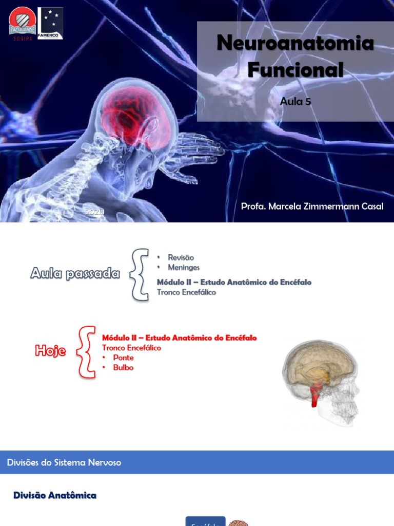 Neuroanatomia Funcional - Aula 5 | PDF | Sistema nervoso central | Cérebro