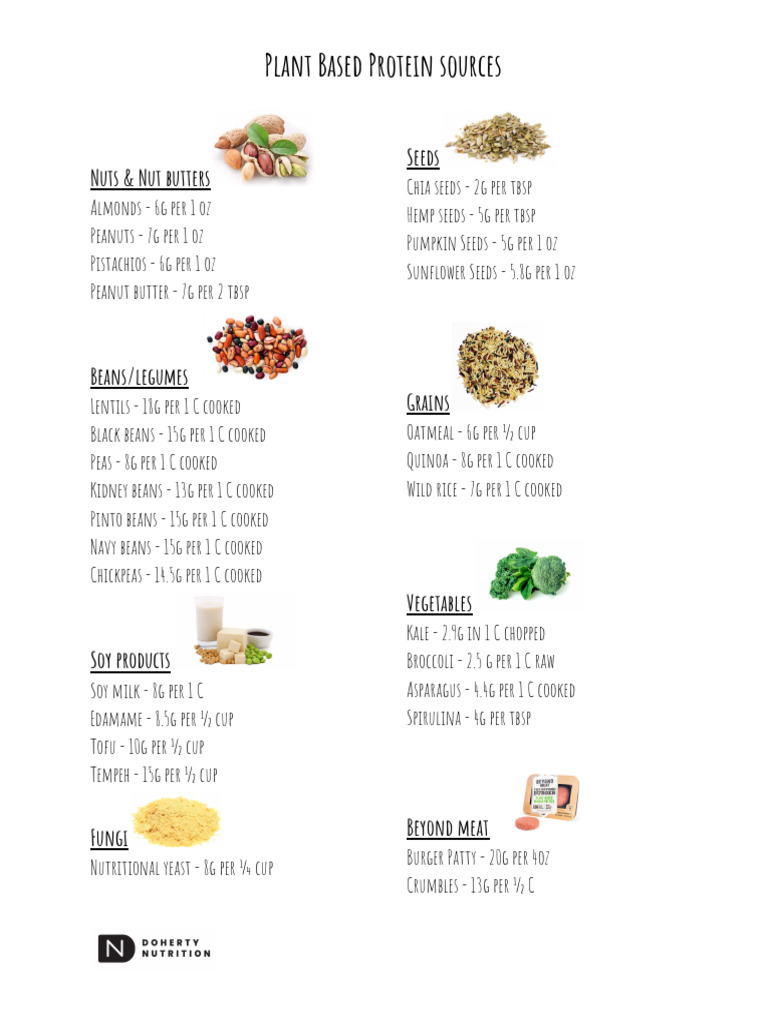 Plant-Based Protein Sources Handout (1) - 1737209874533 | PDF