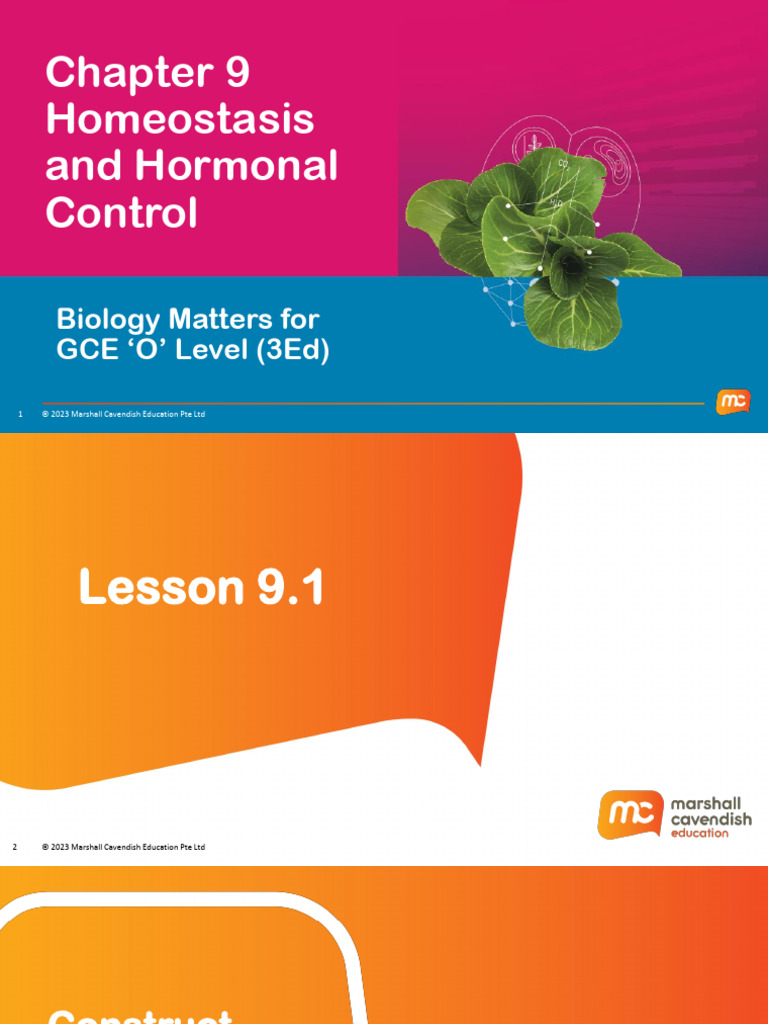 Hormonal Control o Level Notes | PDF | Homeostasis | Kidney