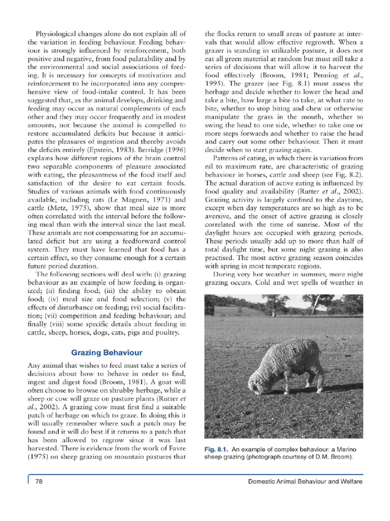 Feeding Behavior | PDF