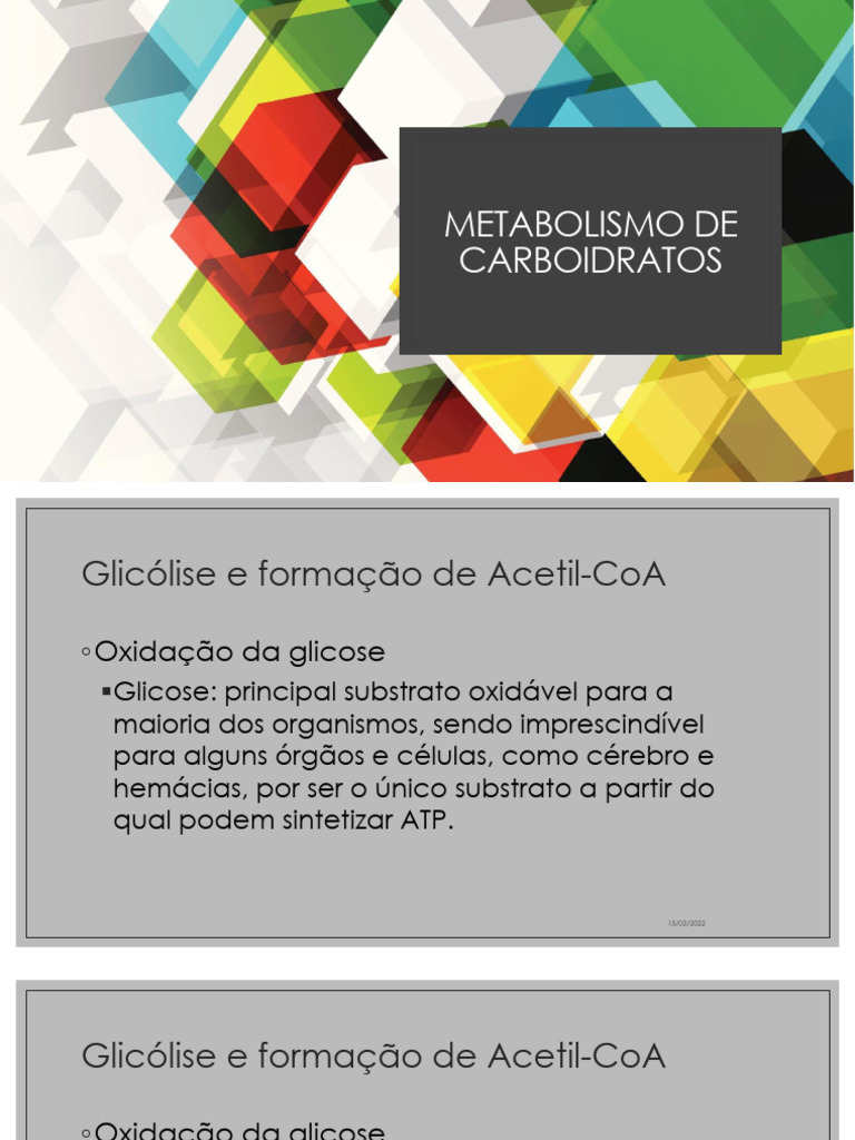 2025416_135811_Glicólise | PDF | Glicolise | Ácido pirúvico