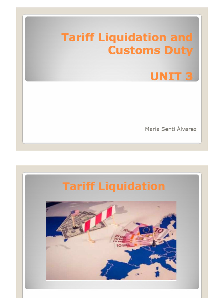 Customs Liquidation Process Explained | PDF