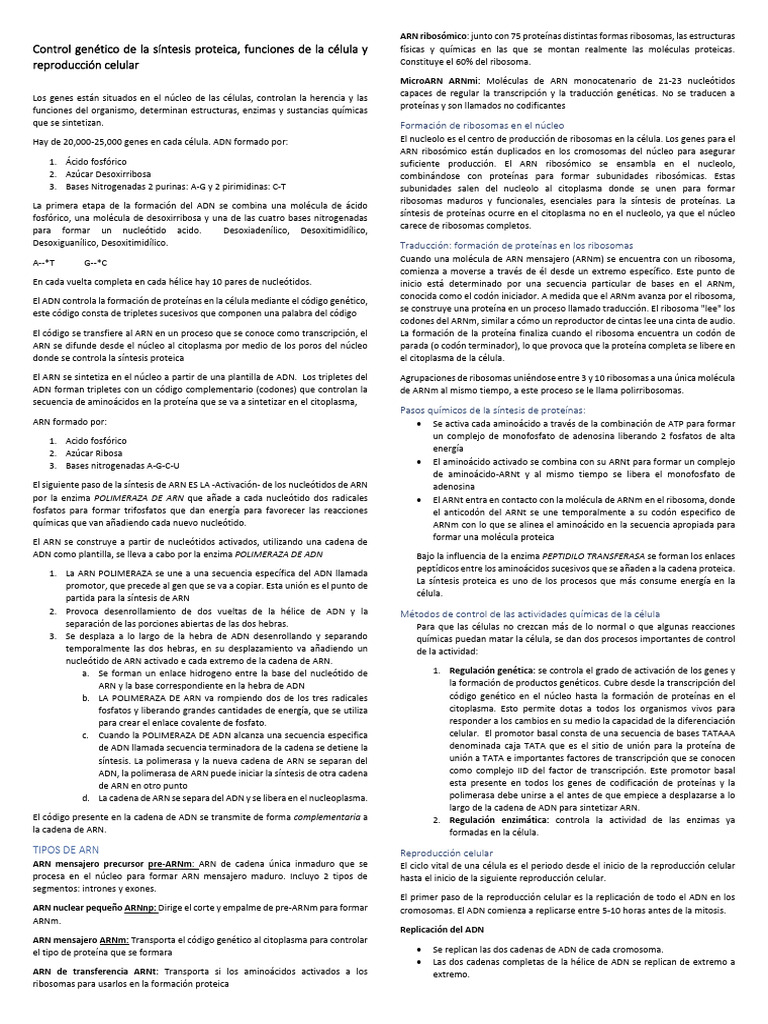 Control Genético y Síntesis Proteica | PDF | Rna | Adn