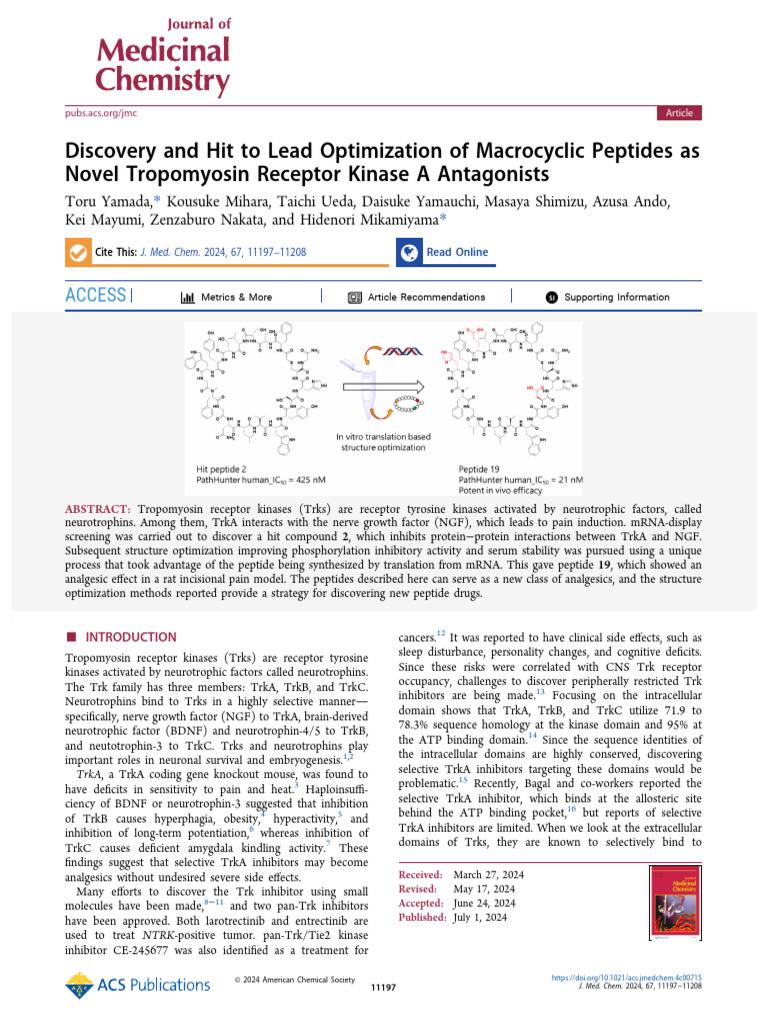 Yamada Et Al 2024 Discovery and Hit To Lead Optimization of Macrocyclic Peptides As Novel ...