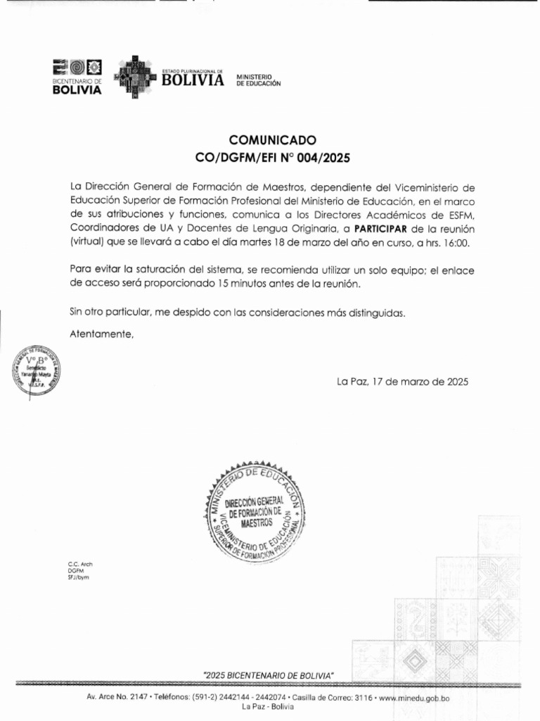 Co DGFM Efi No 004 2025 | PDF