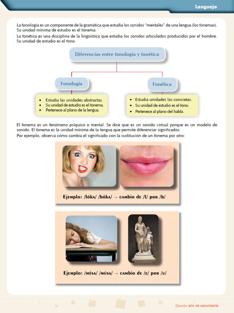 Fonetica y Fonologia | PDF | Fonema | Fonología