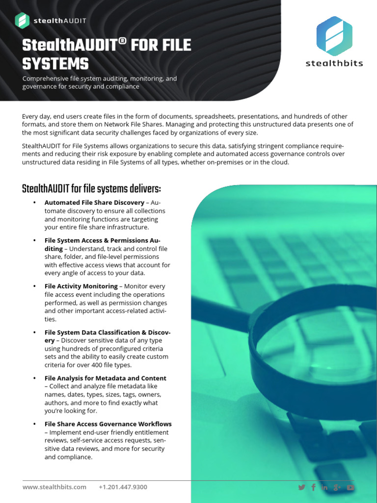 Data_Sheet_StealthAUDIT_for_File_Systems | PDF | Computer File | File System