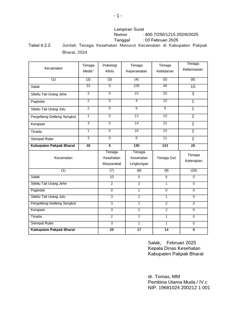 Lampiran Dinkes - Surat Permintaan Data DDA 2025 | PDF