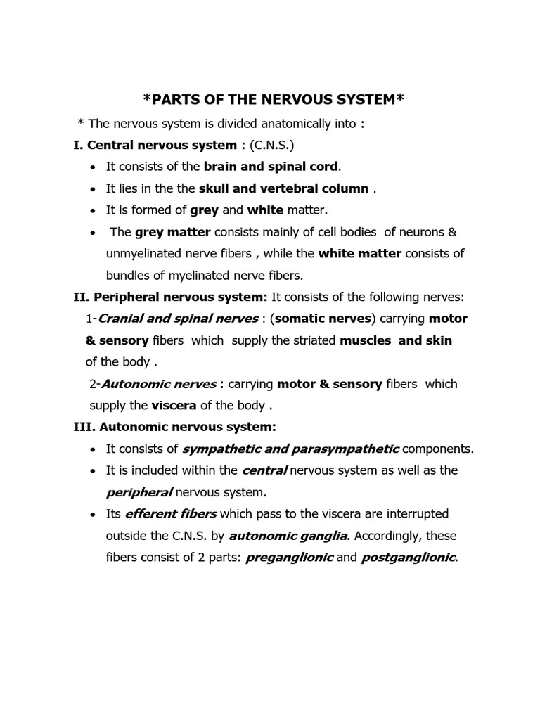 1 - Introduction CNS - @medicine - Way | PDF | Central Nervous System ...