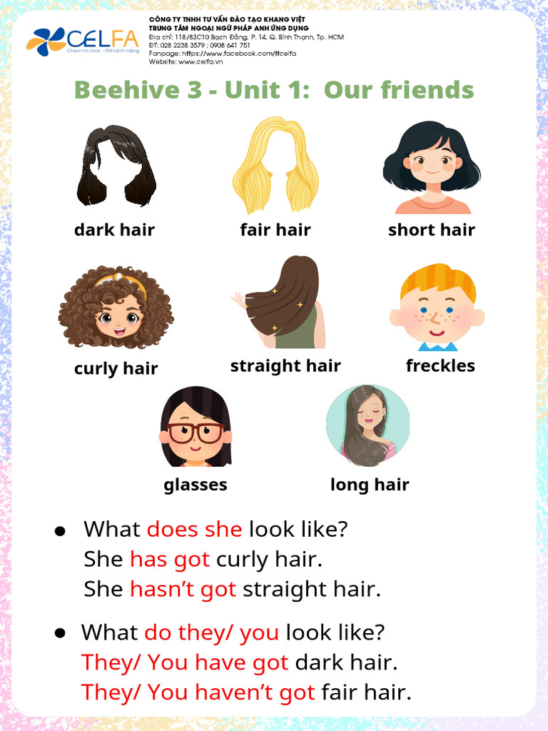 Revision - EN07.2025 - Beehive 3 (U1,2,3) | PDF