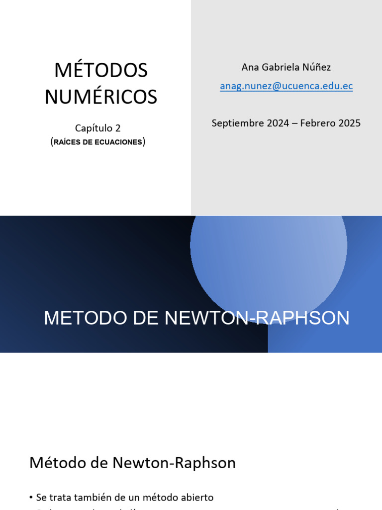 Capitulo2 NewtonRaphson | PDF
