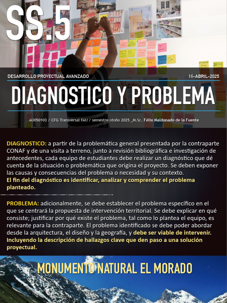 Ss5 Diagnostico y Problema | PDF | Sistema