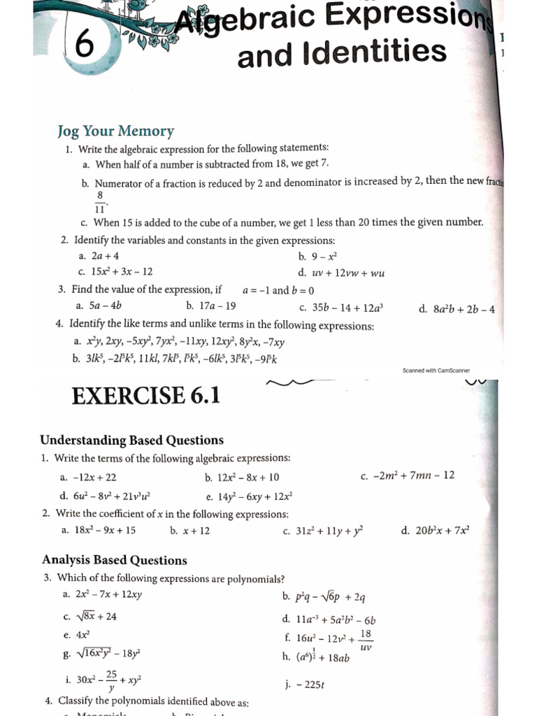 CH Algebraic Expressions and Identities. | PDF