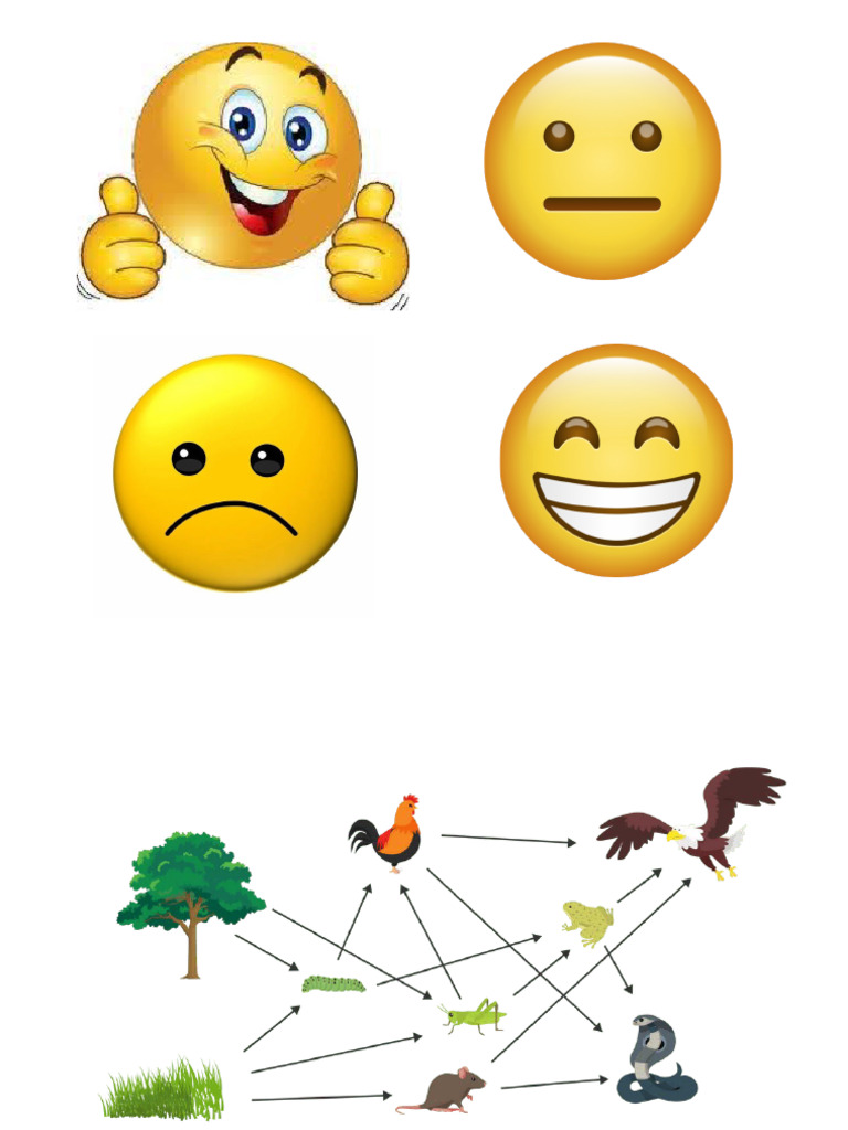 EMOTICON | PDF