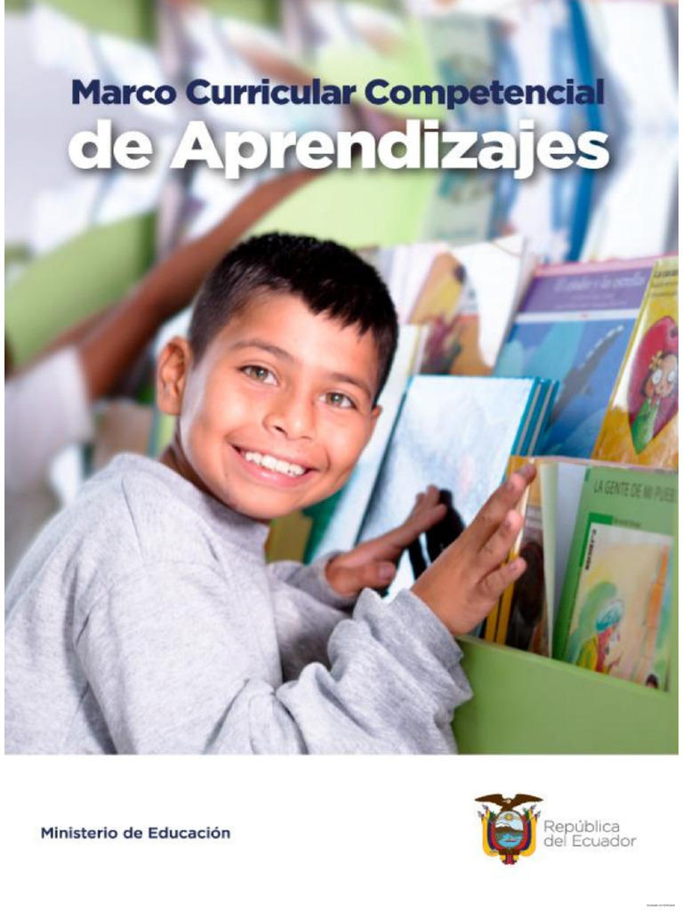 Marco Curricular Competencial de Aprendizajes | PDF