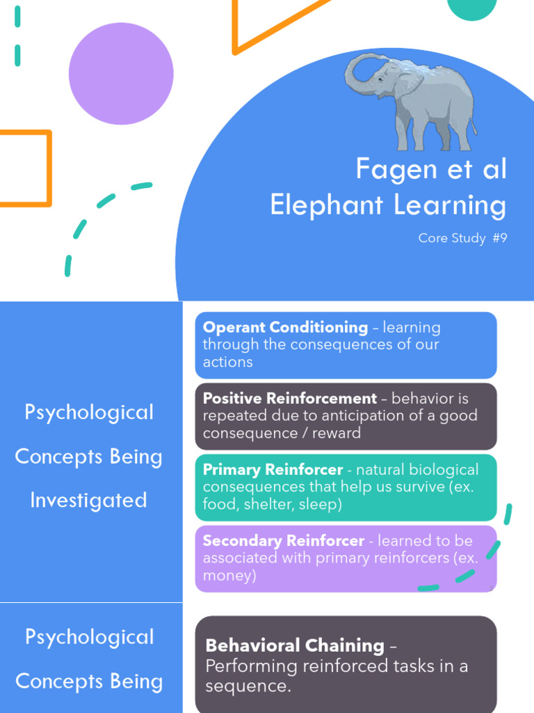 Fagen Study - Elephant Learning - 1 | PDF | Reinforcement | Elephant