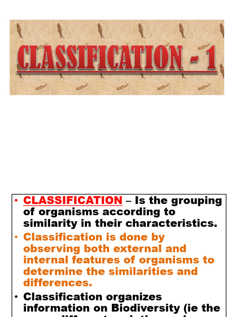 Classification Systems in Biology | PDF | Leaf | Taxonomy (Biology)