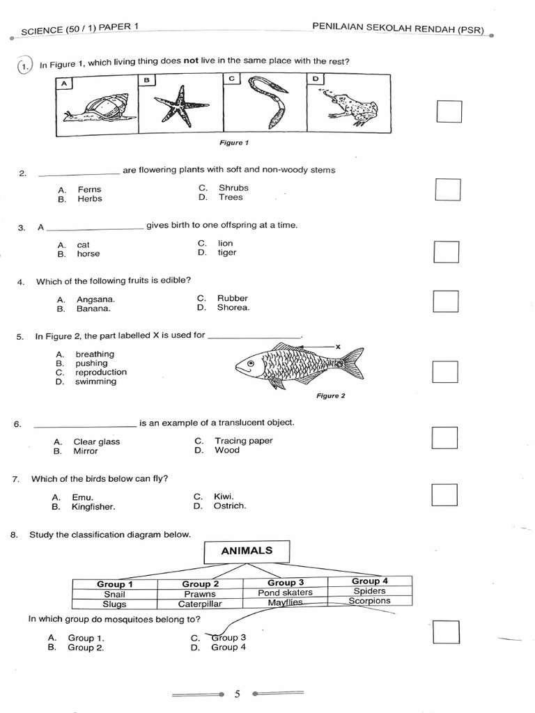 Science PSR | PDF