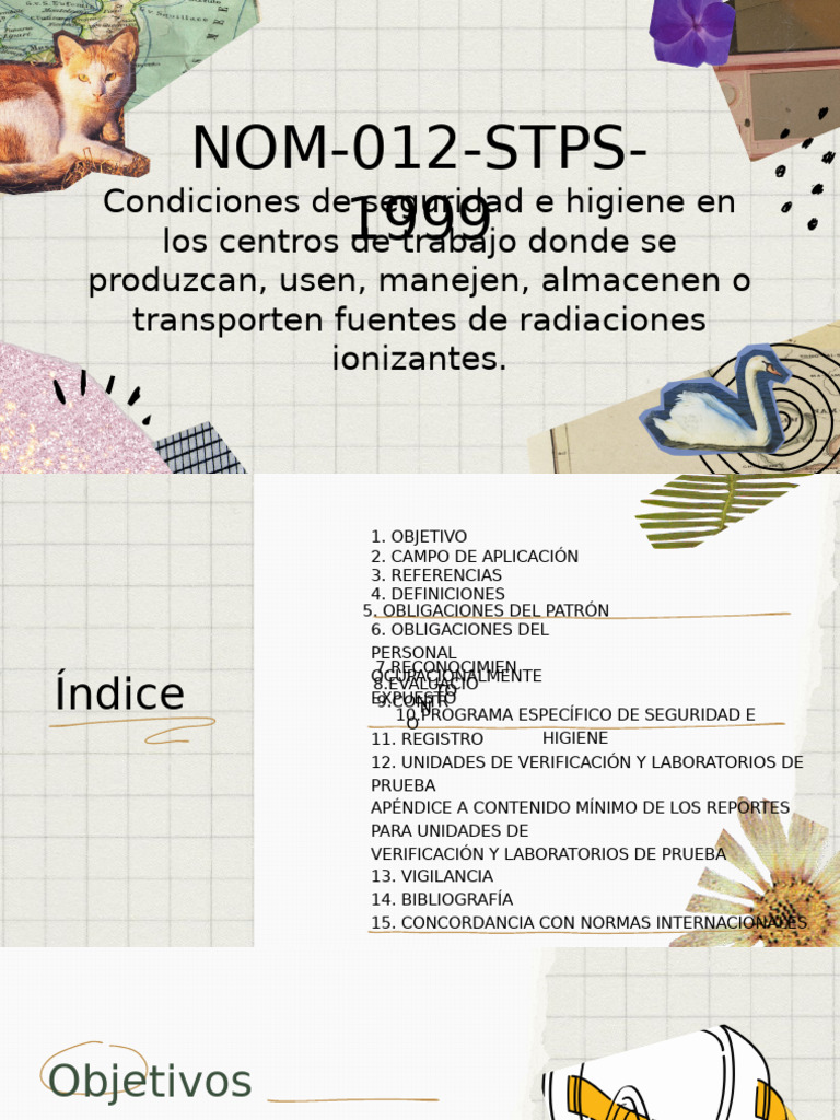 Nom 012 STPS 1999 | PDF | Radiación | Protección de radiación