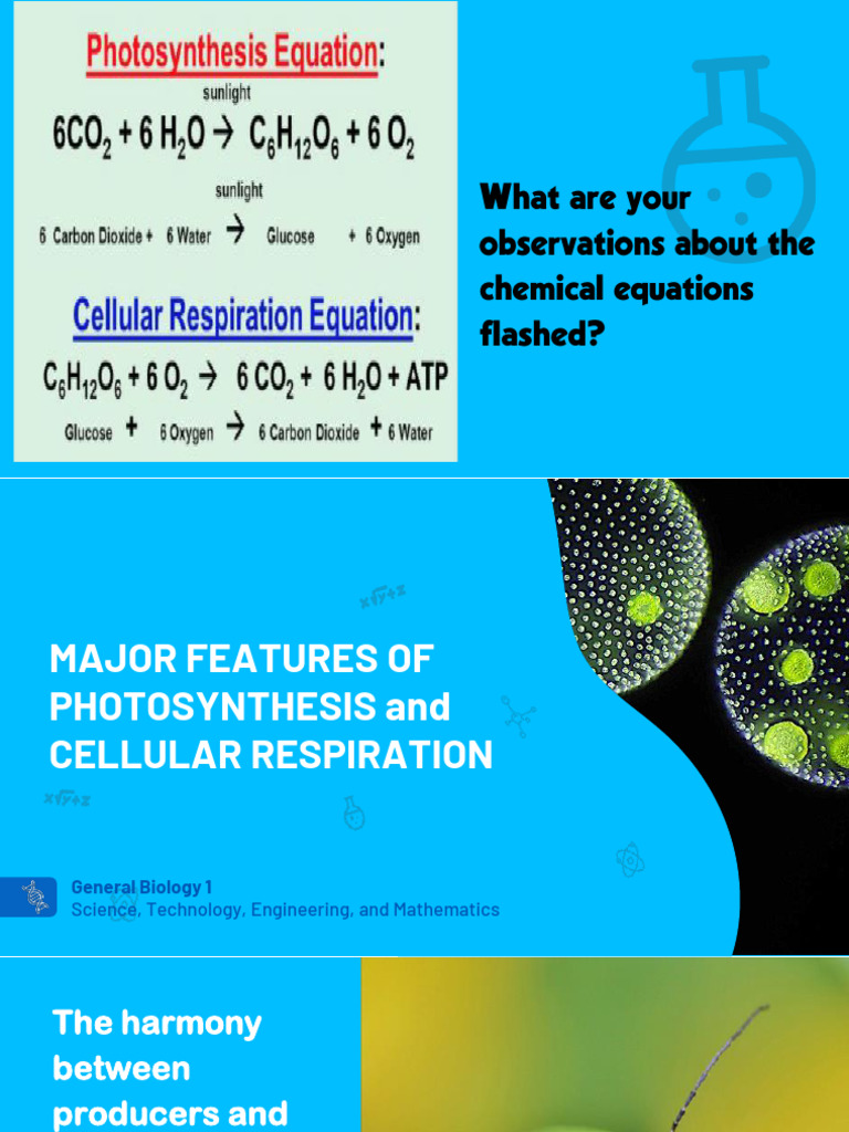 3. Intro to Photosynthesis and Cell Respiration 2 | PDF ...
