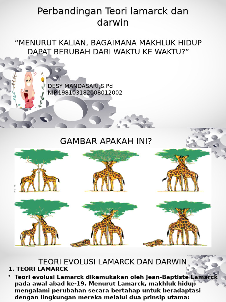 Perbandingan Teori Lamarck Dan Darwin | PDF