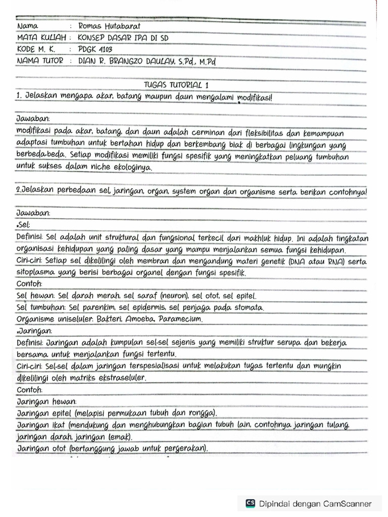 Tugas Tutorial 1 | PDF