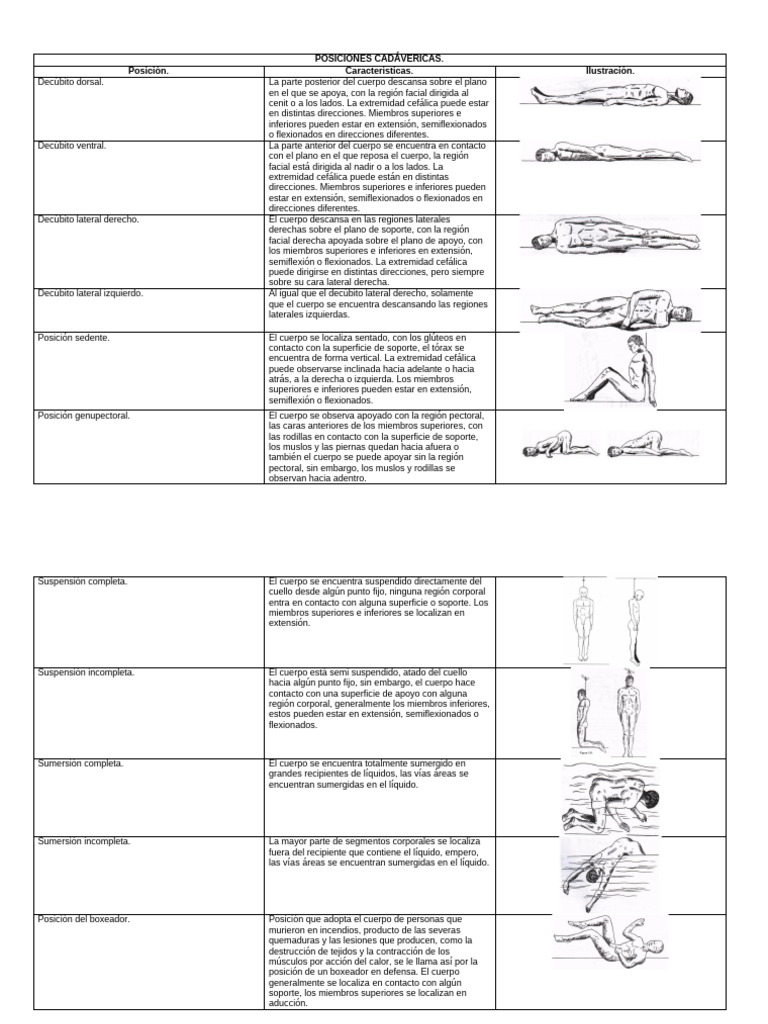 Posiciones Cadávericas | PDF | Tobillo | Sistema musculoesquelético