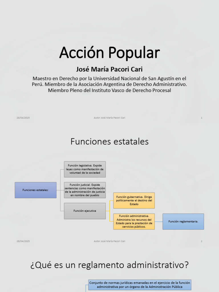 Proceso Acción Popular - Diapositivas - Autor José María Pacori Cari | PDF | Regulación ...