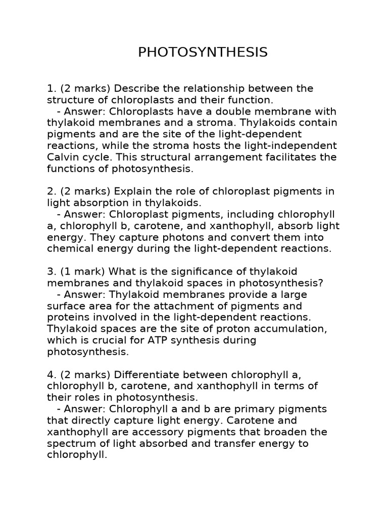Understanding Photosynthesis Mechanisms | PDF | Photosynthesis ...