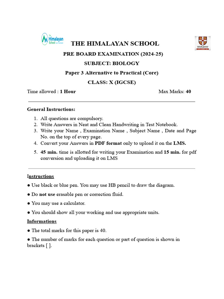 Template of Question Paper | PDF