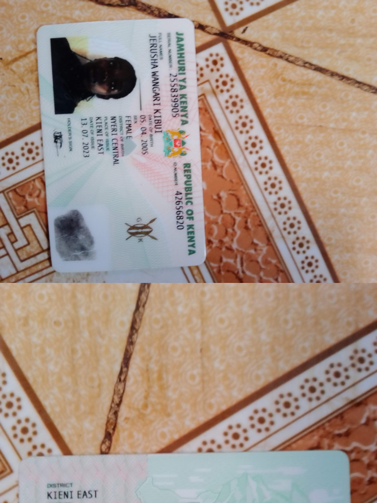 Document-WPS Office | PDF