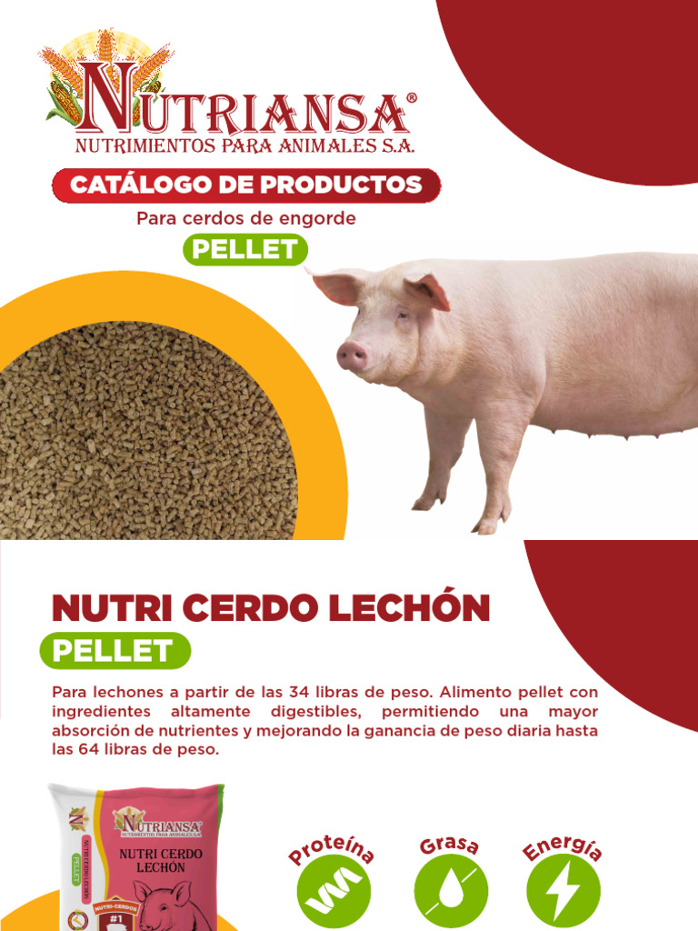 Catalogo Digital Cerdos Engorde Pellet 1 | PDF | Cerdo | Alimentos