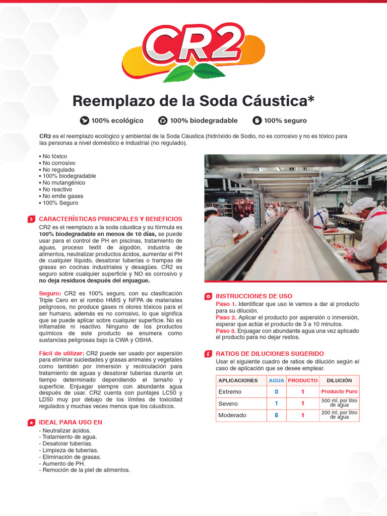 FT CR2 | PDF | Hidróxido de sodio | Corrosión