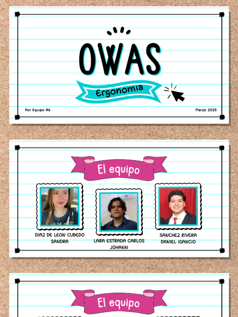 Metodo Owas | PDF | Frecuencia