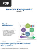 Steps To Construct A Phylogenetic Tree Using MEGA Software | PDF | Sequence Alignment ...