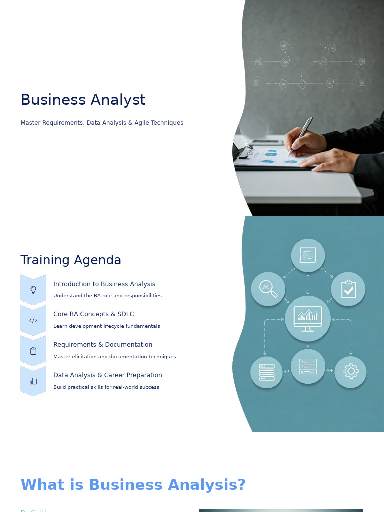 Business Analyst | PDF