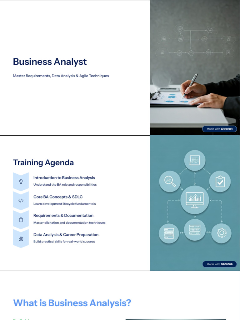 Business-Analyst | PDF