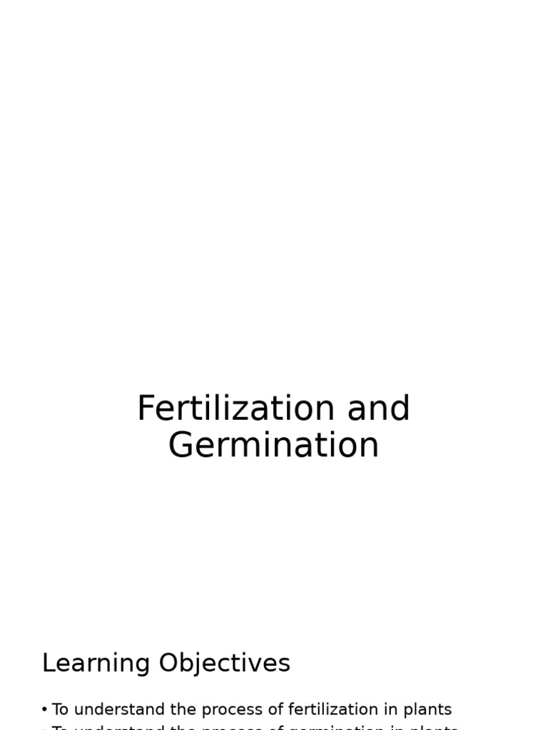 Fertilization and Germination | PDF | Seed | Fertilisation