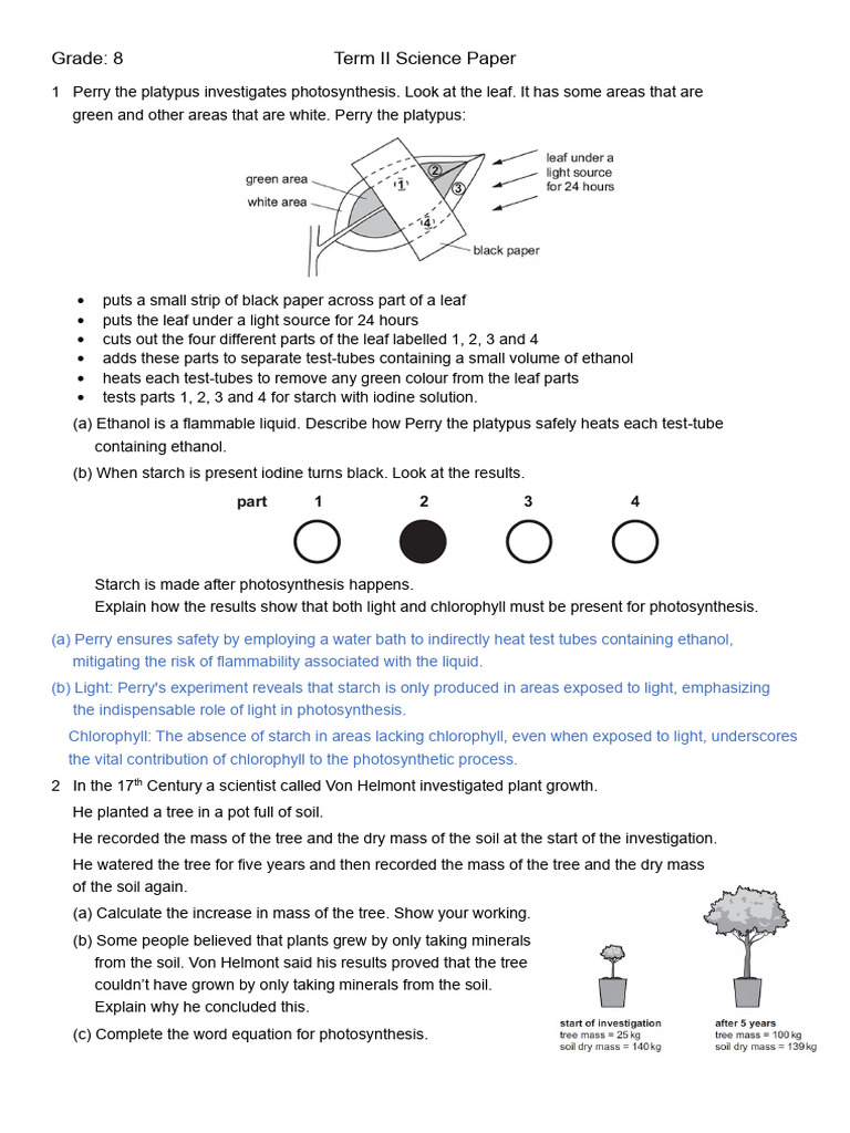 Term Ii Science Paper Answers GR 8 | PDF | Fertilisation | Photosynthesis