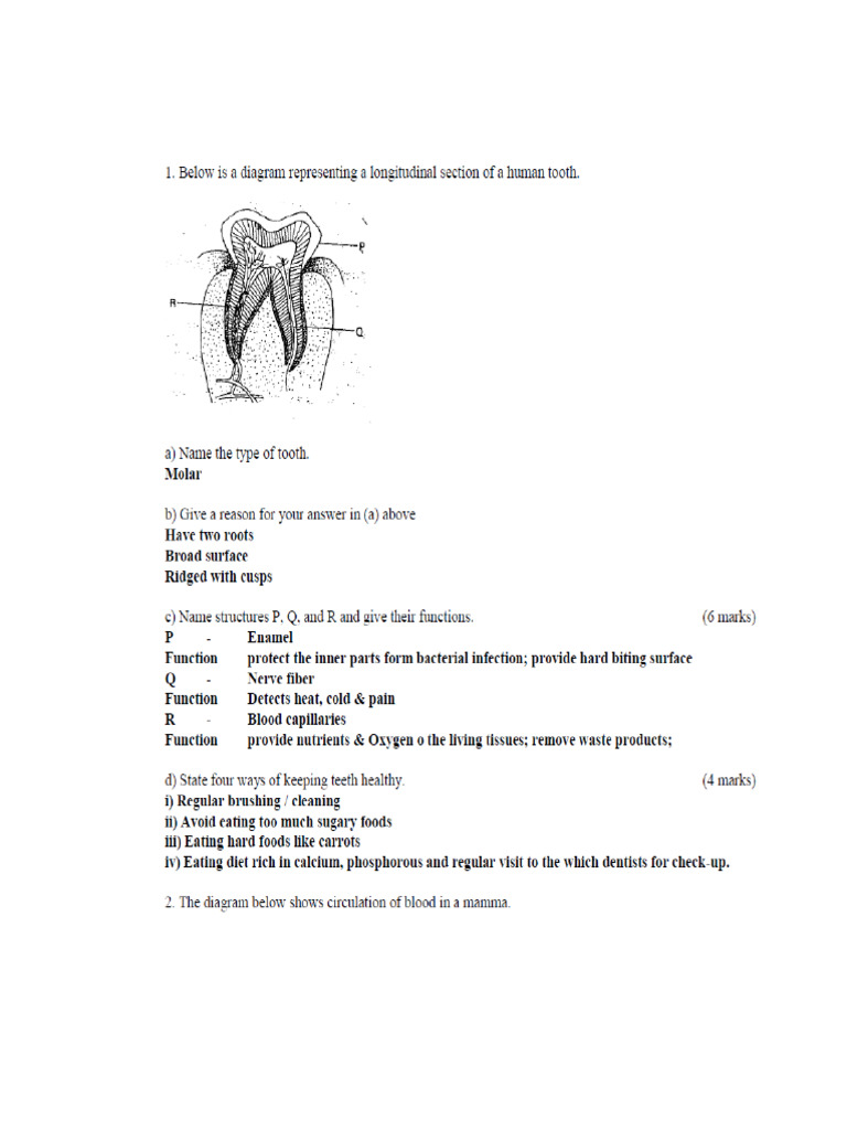 Biology Paper Marking Scheme Form 2 Term 2 Exam 2018 | PDF