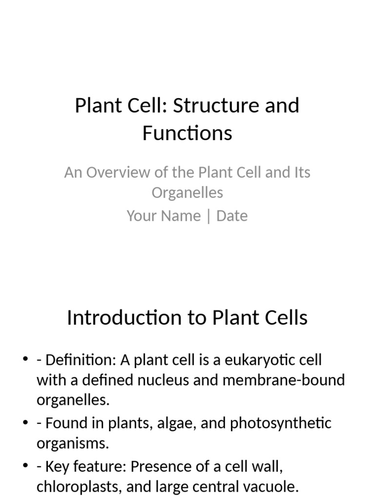 Plant Cell Presentation | PDF