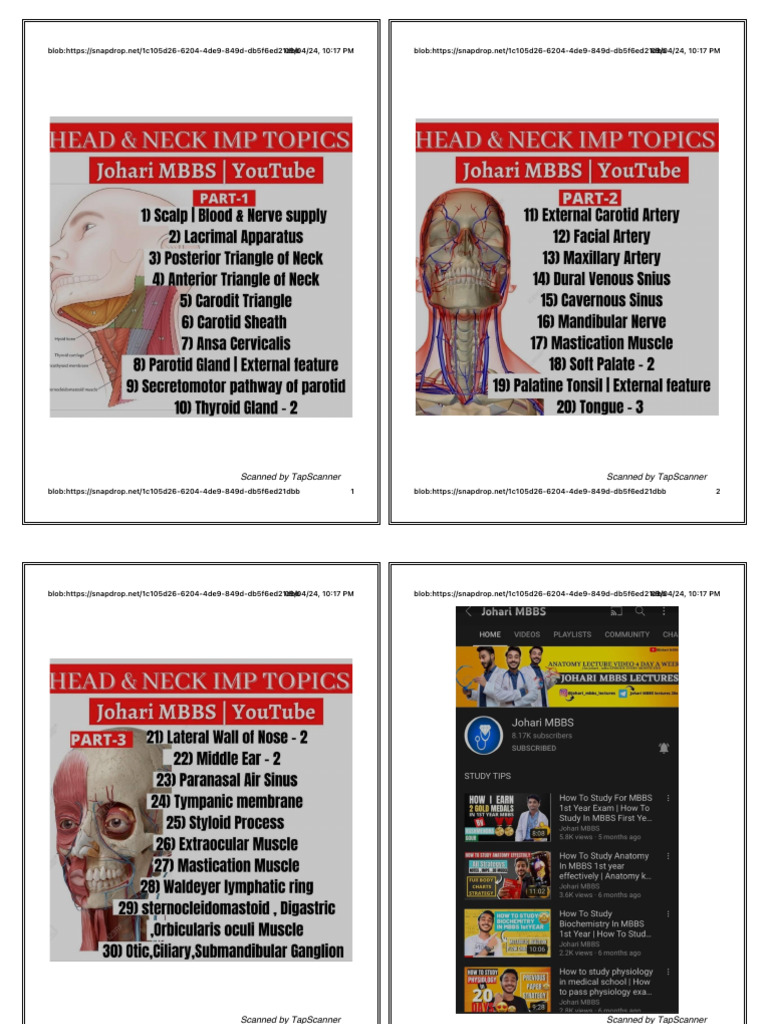 Johari Mobs HEAD AND NECK | PDF