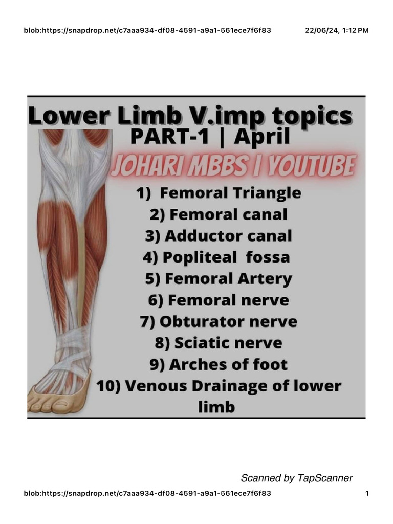 Lower Limb Notes by Johari | PDF
