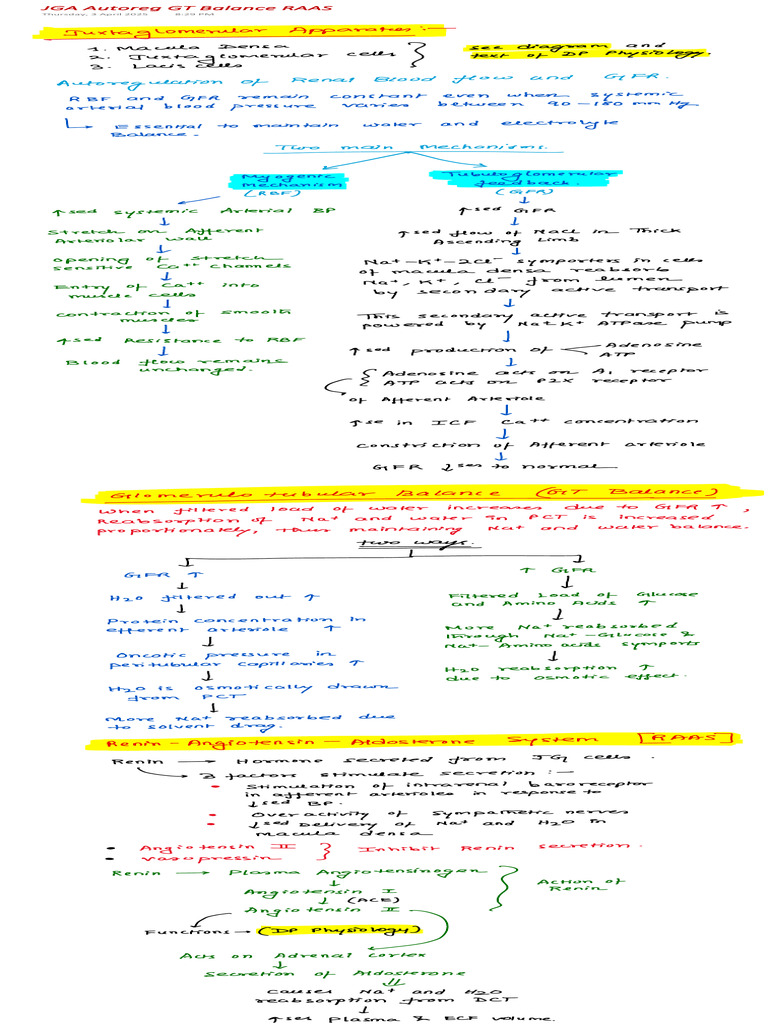 JGA Autoreg GT Balance RAAS | PDF