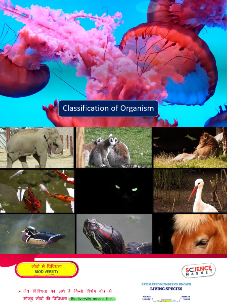 Classification of Organism Part-1 | PDF